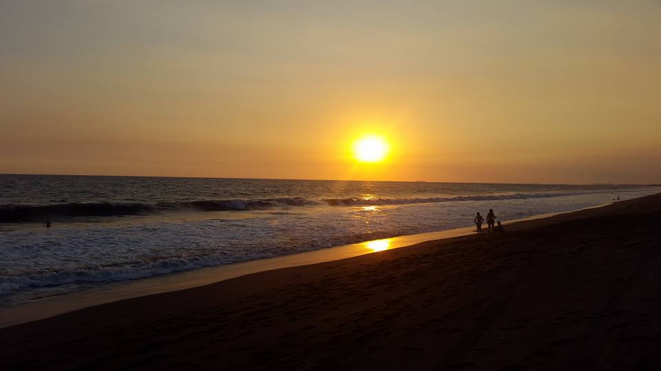 Beach Growth (What you don’t see in the city) – guatemayandotcom